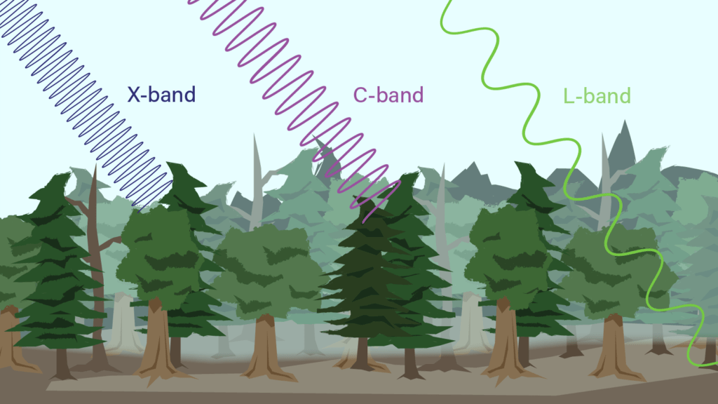 How vegetation and snow impact InSAR readings - 3vGeomatics